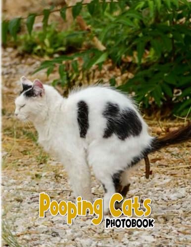 Pooping Cats Photobook: Funny Photos Of Animal For Teens, Adults To ...