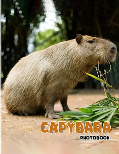 Capybara Photobook: Fun Photos Of Greater Capybara For Teens, Kids To ...