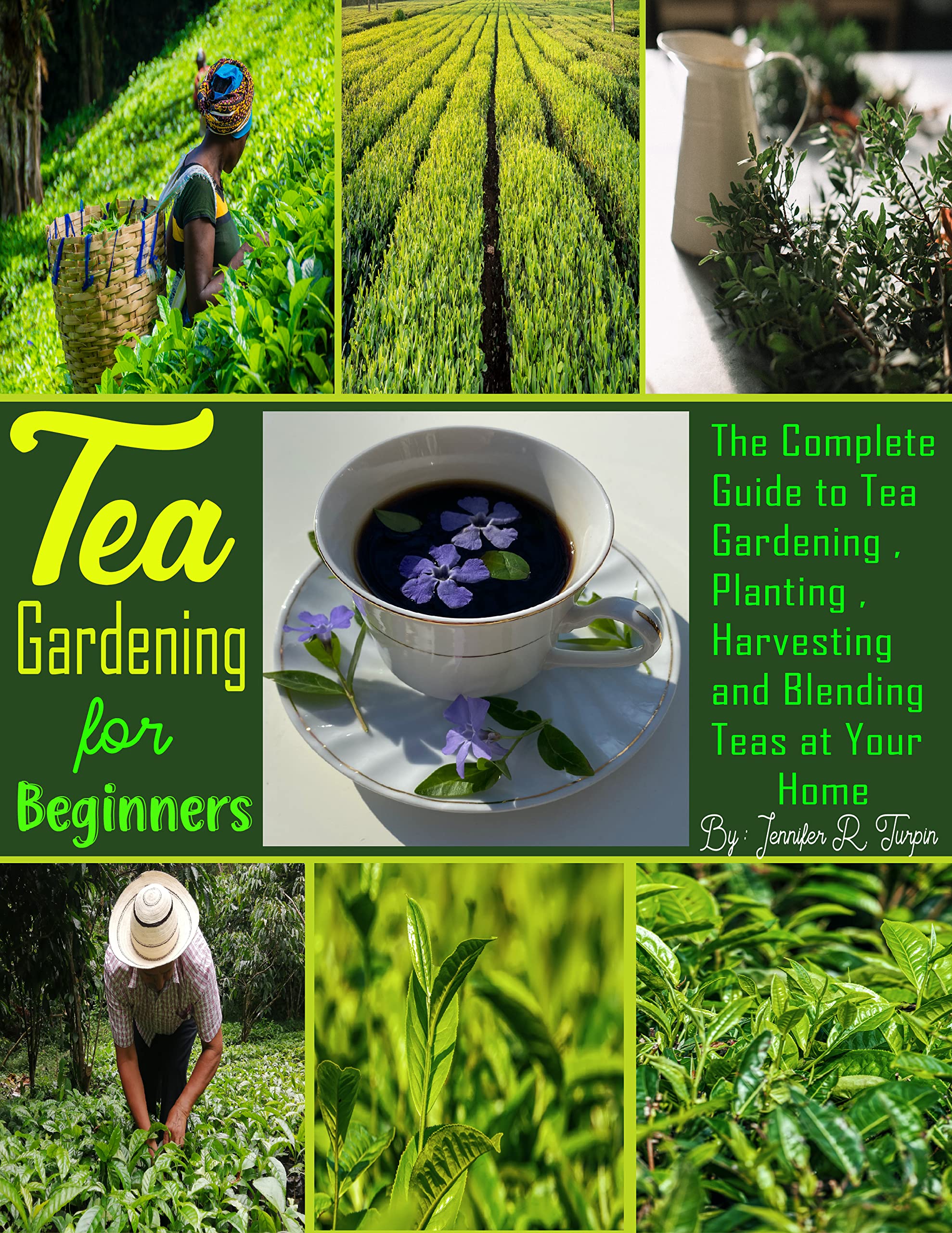 Tea Gardening for Beginners: The Complete Guide to Tea Gardening ...