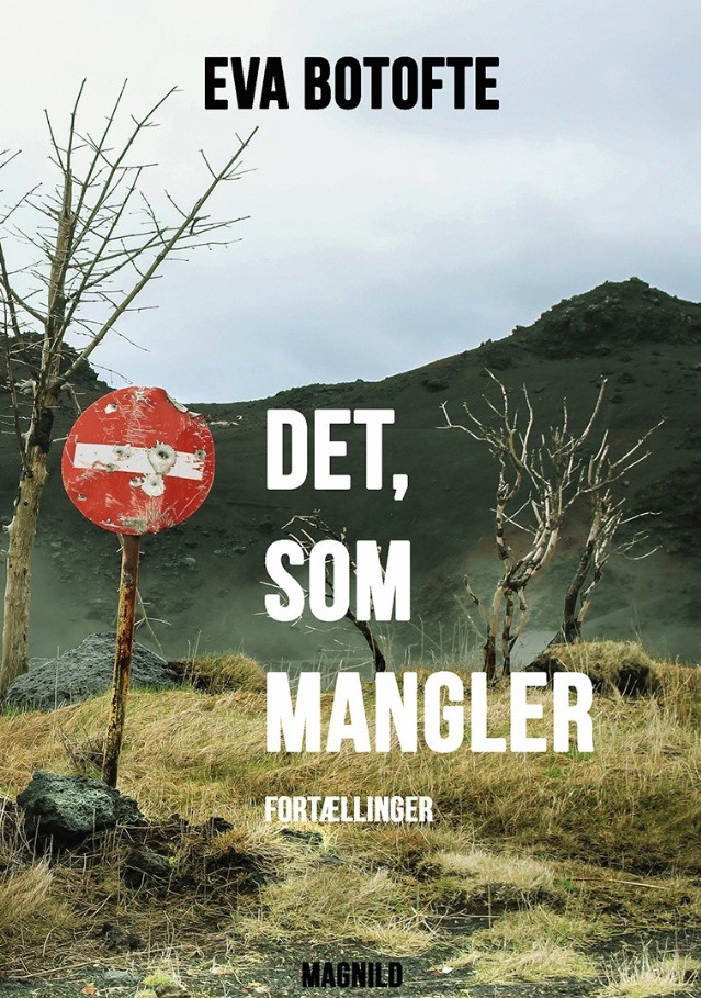 Det, som mangler by Eva Botofte | Goodreads