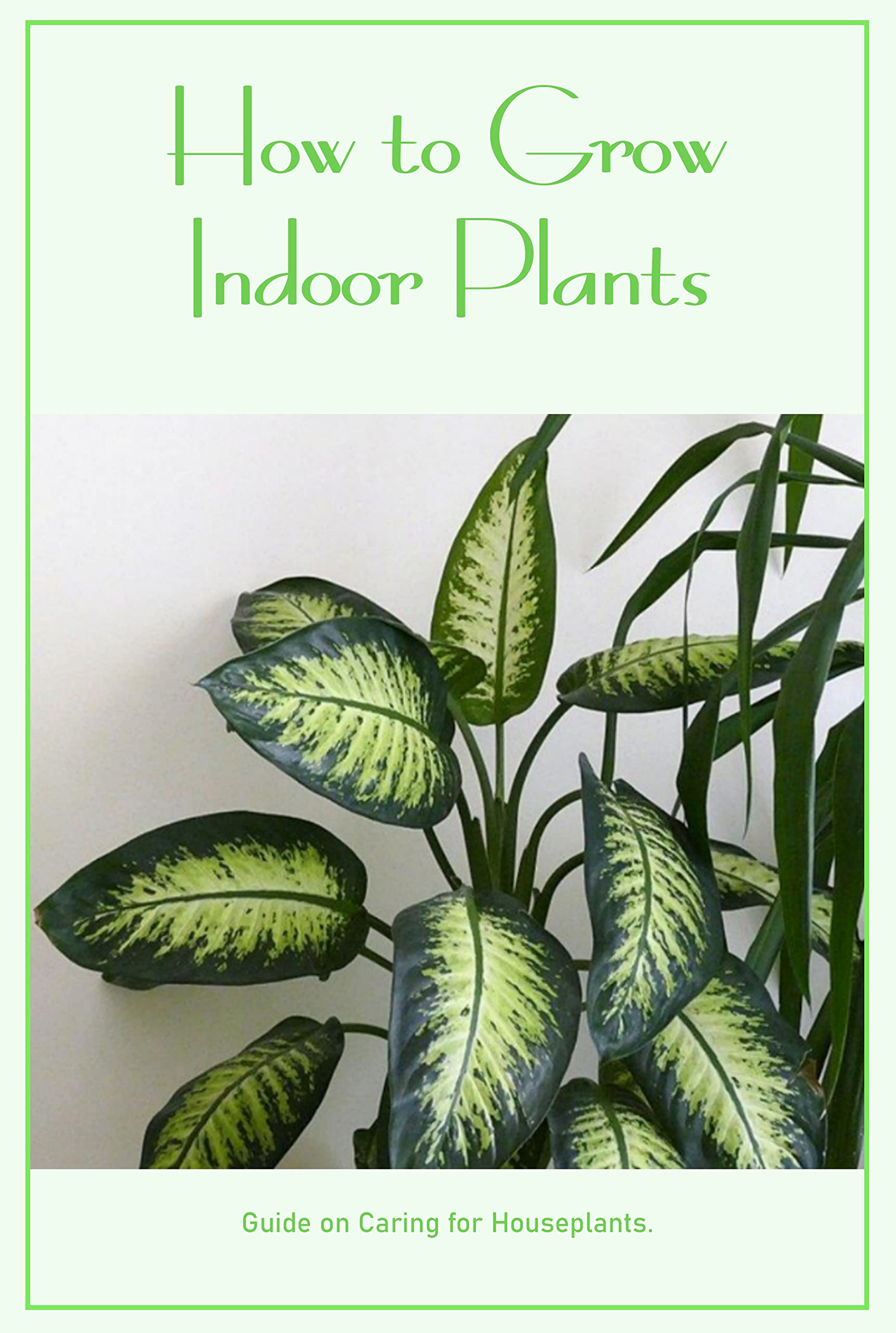 How to Grow Indoor Plants: Guide on Caring for Houseplants.: Care ...