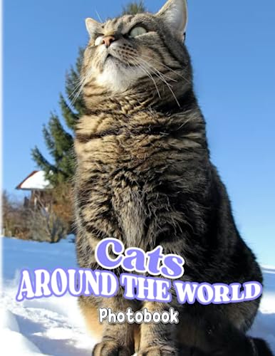 Cats Around The World Photobook: Moments of Cats Photography Book ...