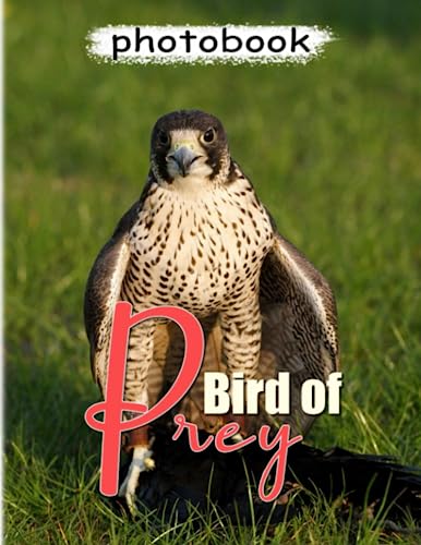 Birds Of Prey Photo Book: Character with Colorful Pages for Adult, Teen ...
