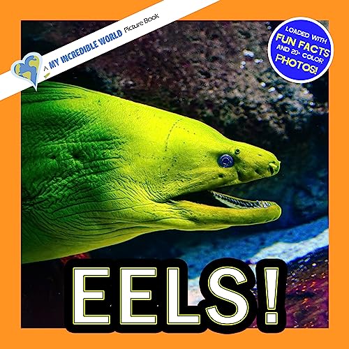 Eels!: A My Incredible World Picture Book for Children by Hope Aicher | Goodreads