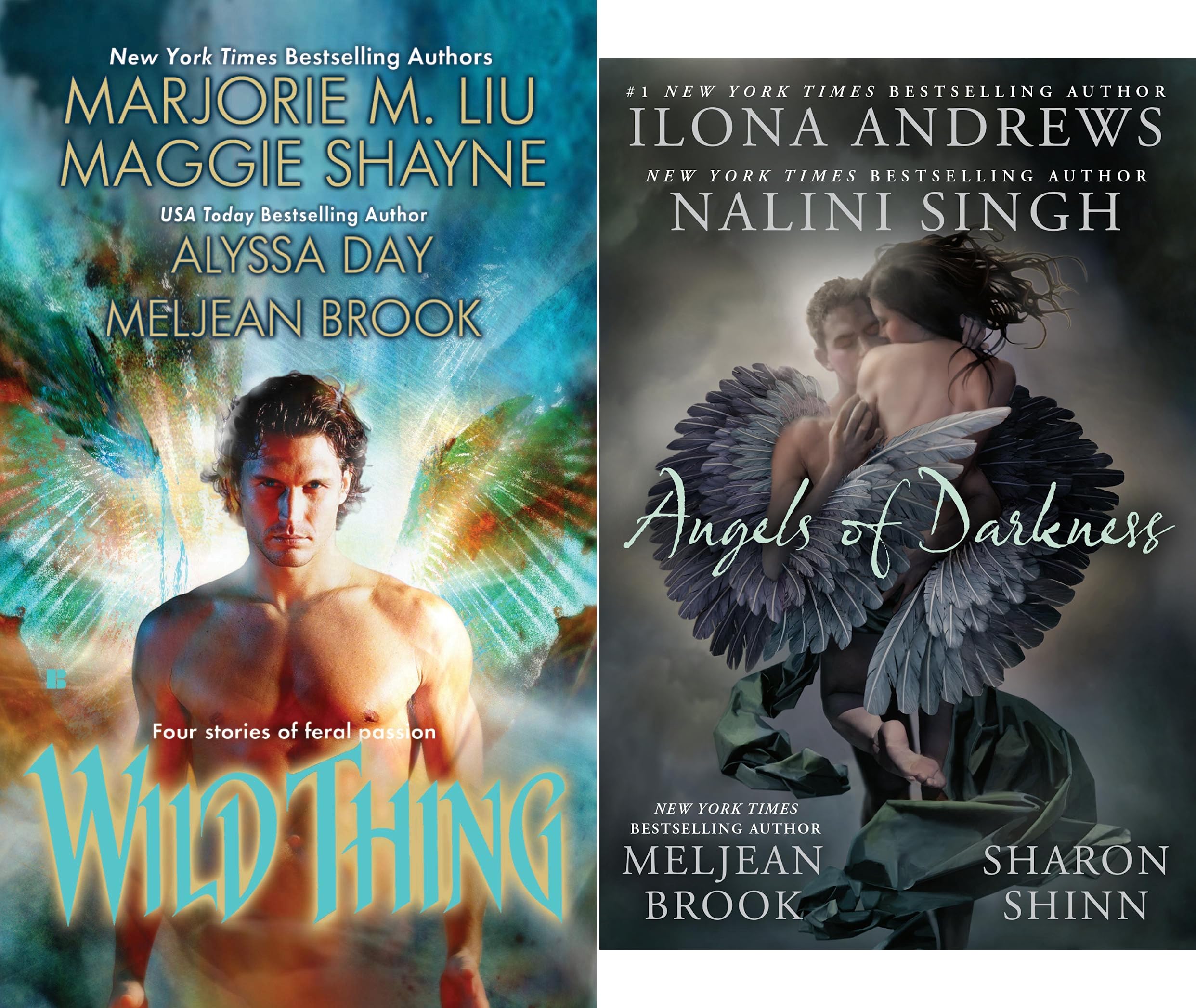 The Guardians by Maggie Shayne | Goodreads