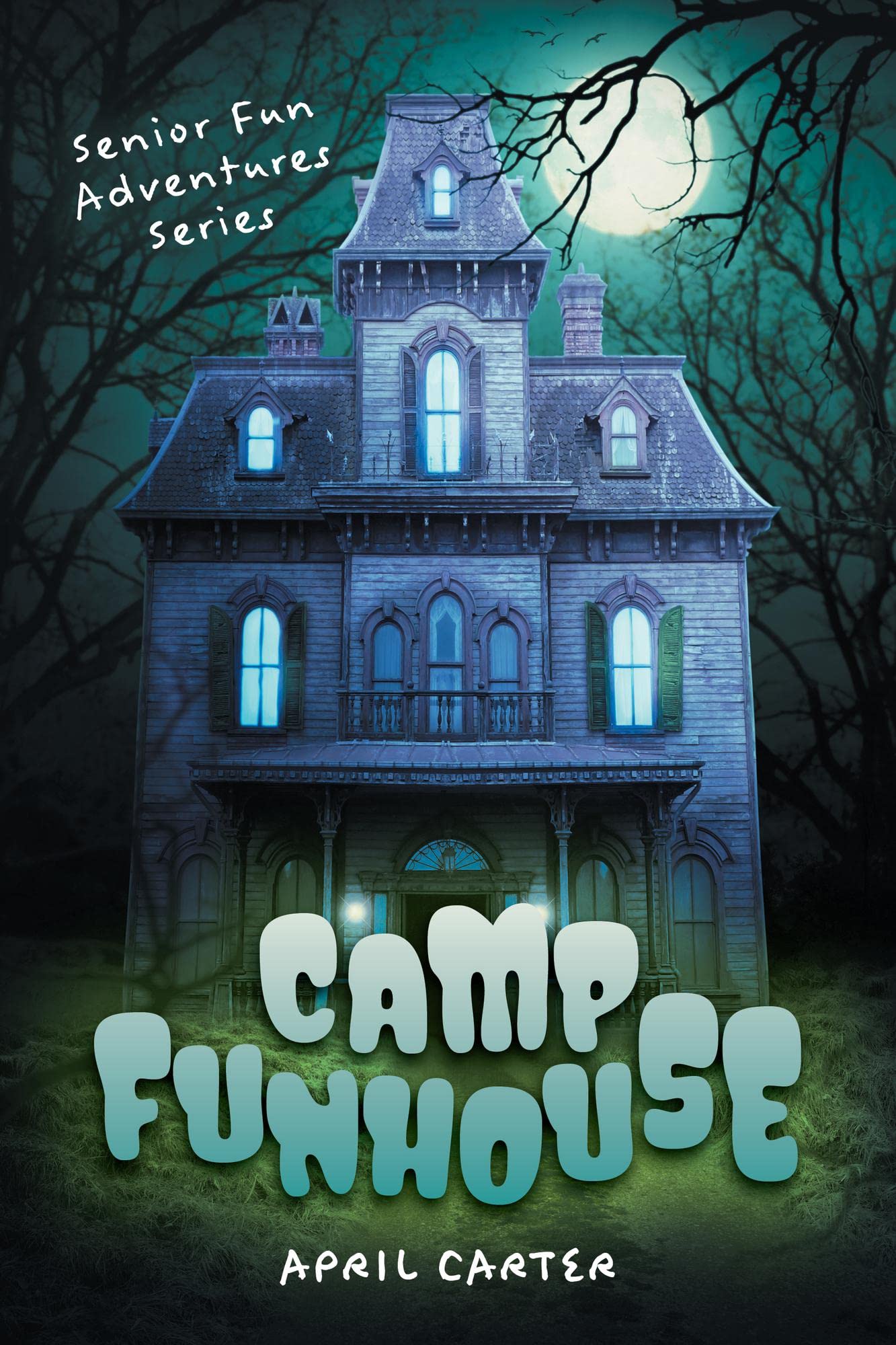 Camp Funhouse: Senior Fun Adventures Series by April Carter | Goodreads