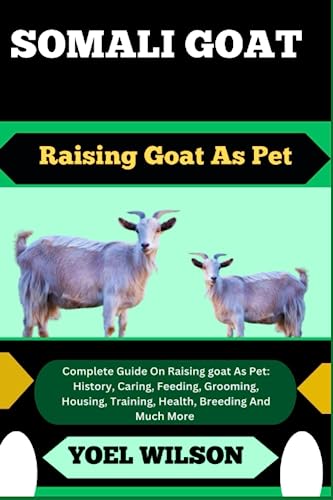SOMALI GOAT Raising Goat As Pet: Complete Guide On Raising goat As Pet ...