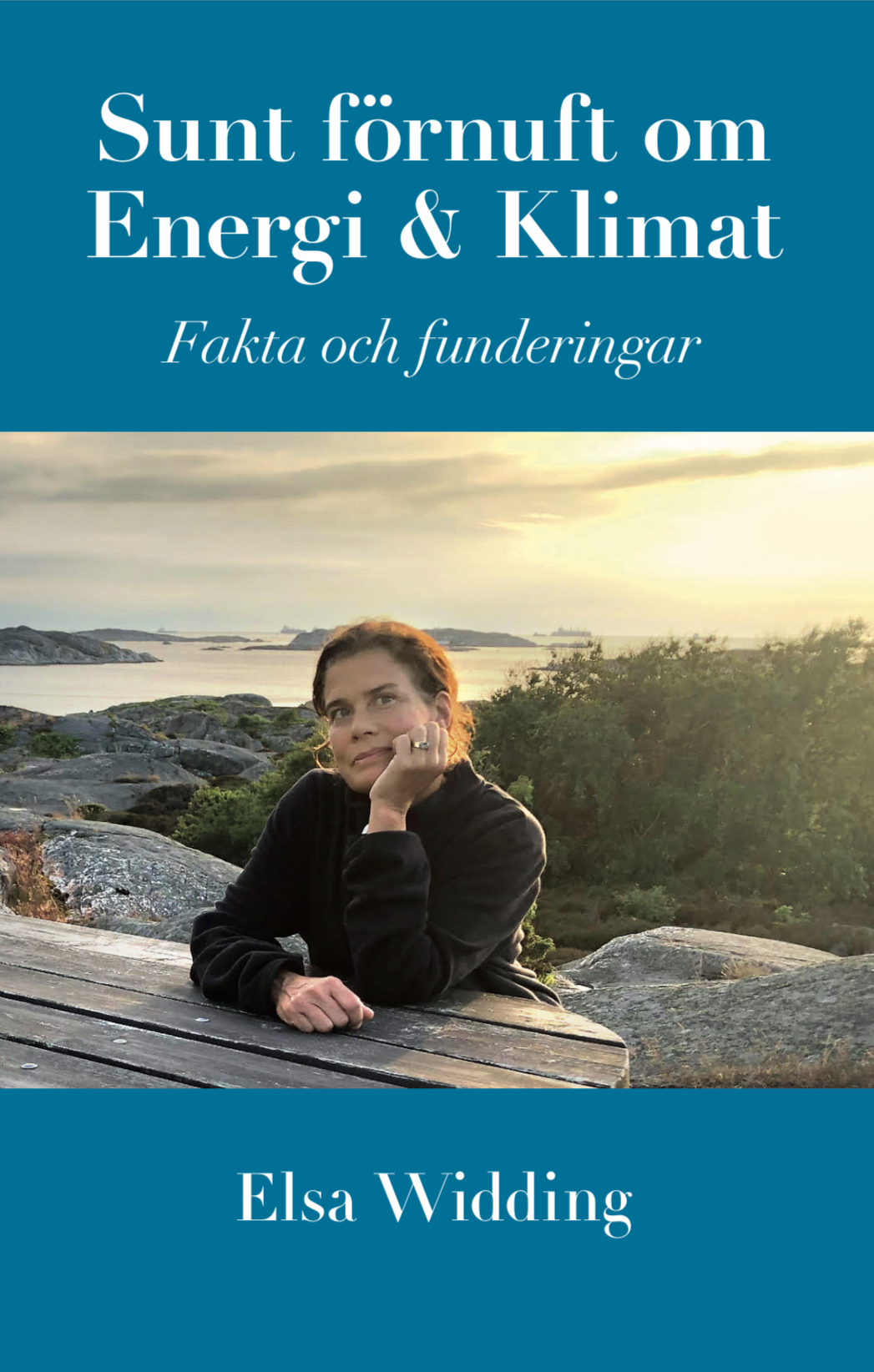Sunt förnuft om energi och klimat by Elsa Widding | Goodreads