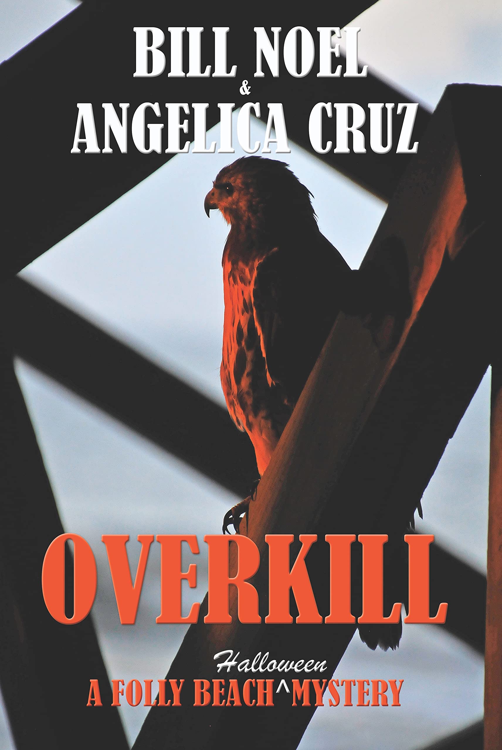 Overkill: A Folly Beach Halloween Mystery by Bill Noel | Goodreads