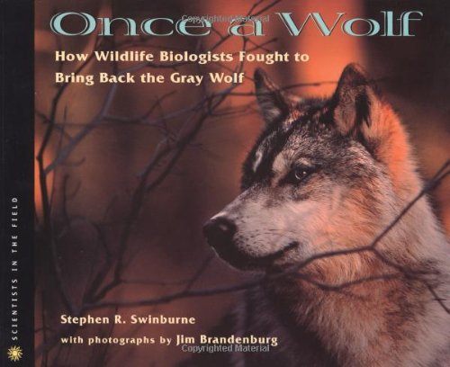 Once A Wolf: How Wildlife Biologists Fought to Bring Back the Gray Wolf ...