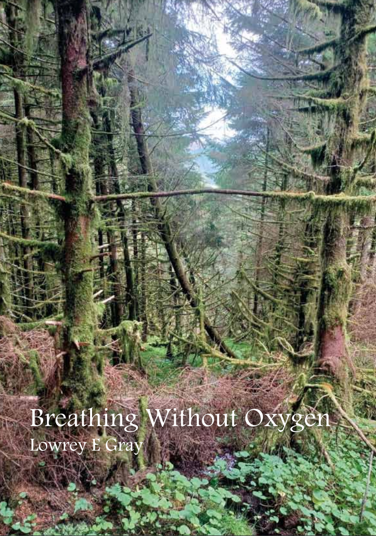 Breathing Without Oxygen by Lowrey E. Gray | Goodreads