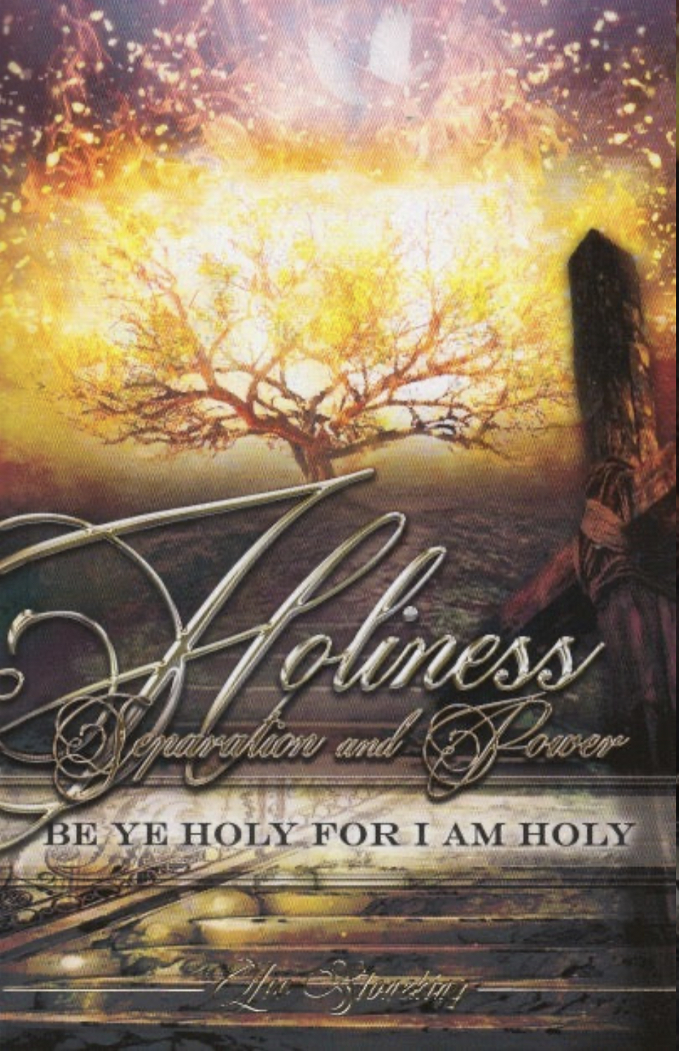 Holiness, Separation, and Power: Be Ye Holy For I Am Holy by Lee ...