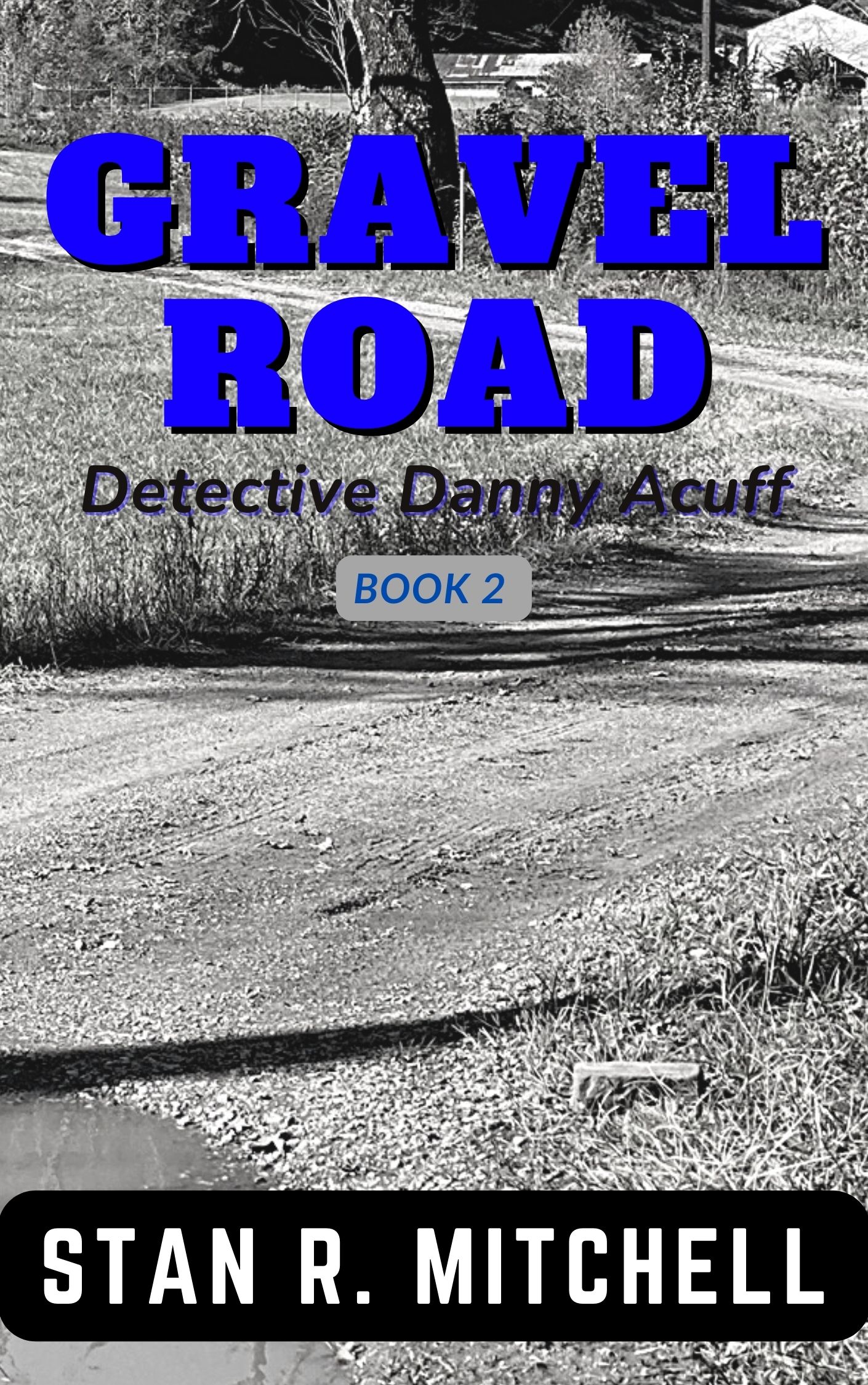 Gravel Road (Detective Danny Acuff Novels #2) by Stan R. Mitchell | Goodreads
