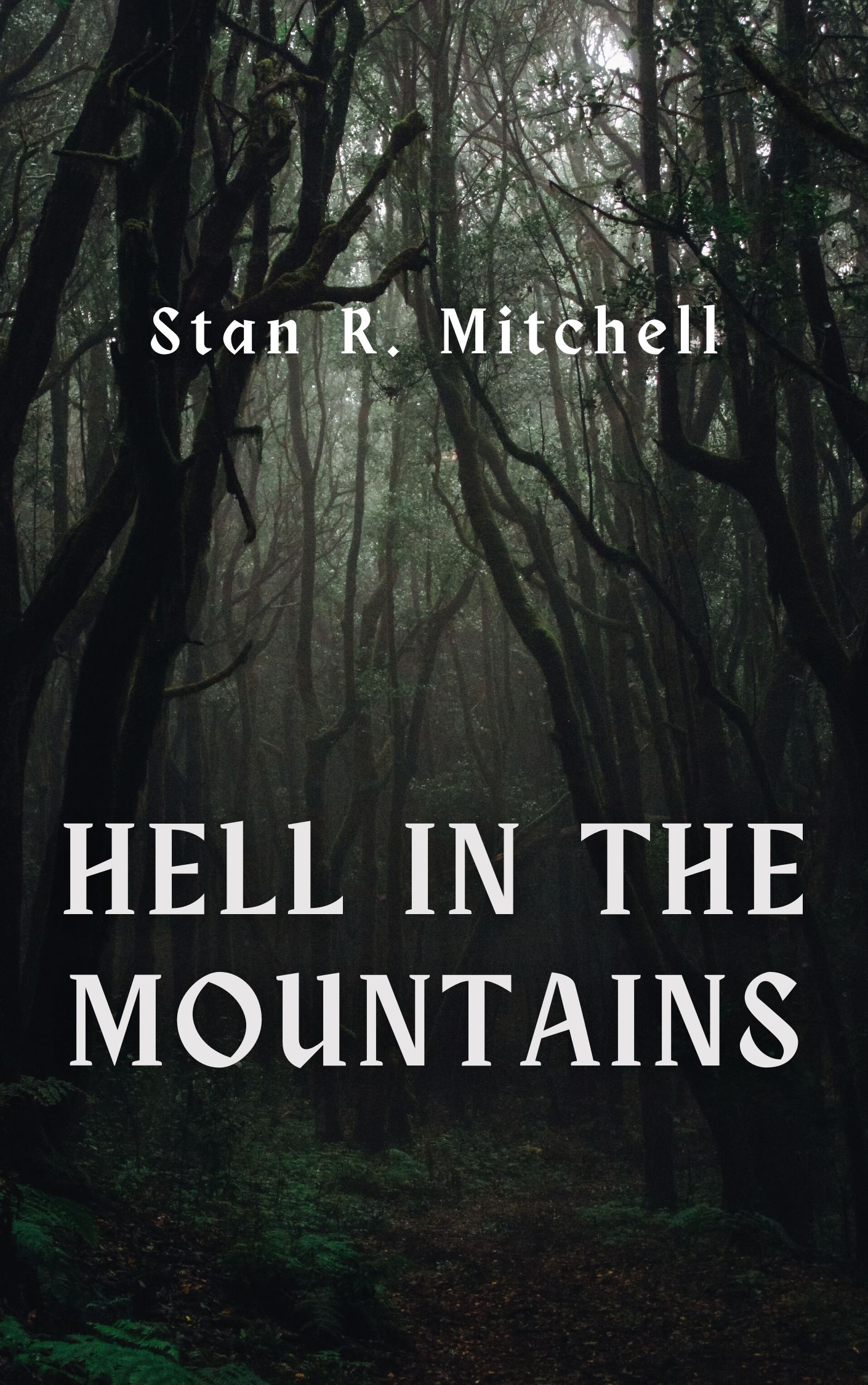 Hell in the Mountains by Stan R. Mitchell | Goodreads