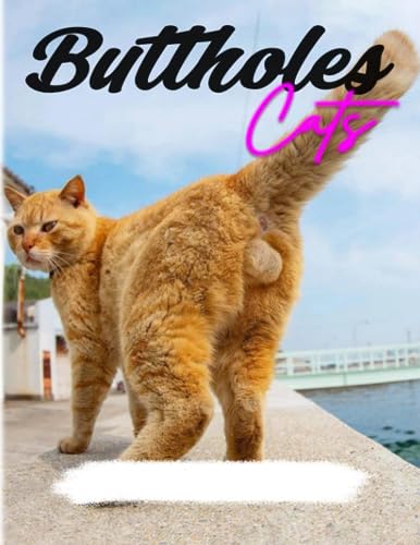 Cats Buttholes Photobook: Collection Moments of Cats with Butts | 40 ...
