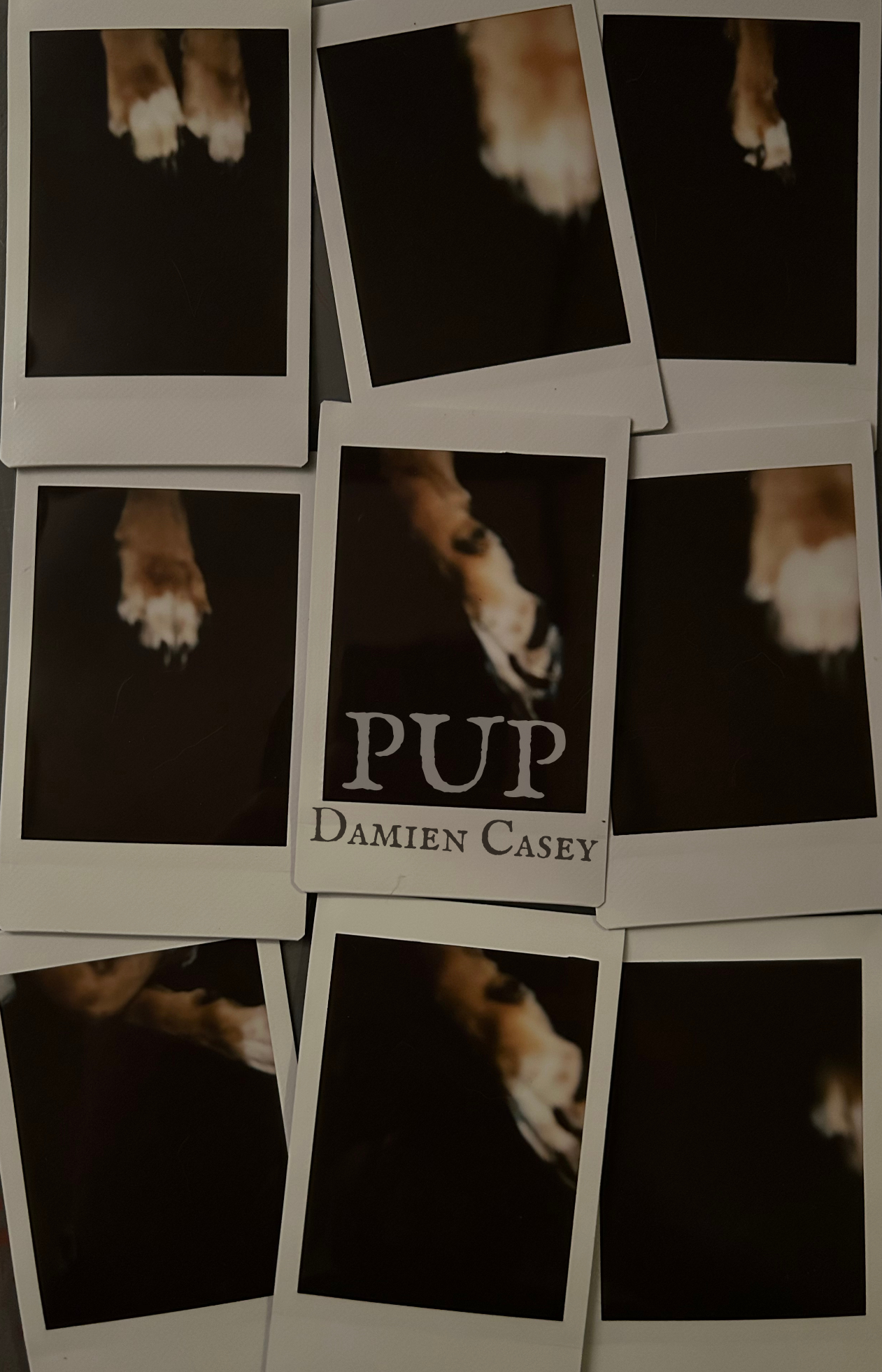 Pup by Damien Casey | Goodreads