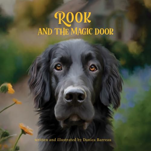 Rook and the Magic Door: Written and Illustrated by Danica Barreau by ...