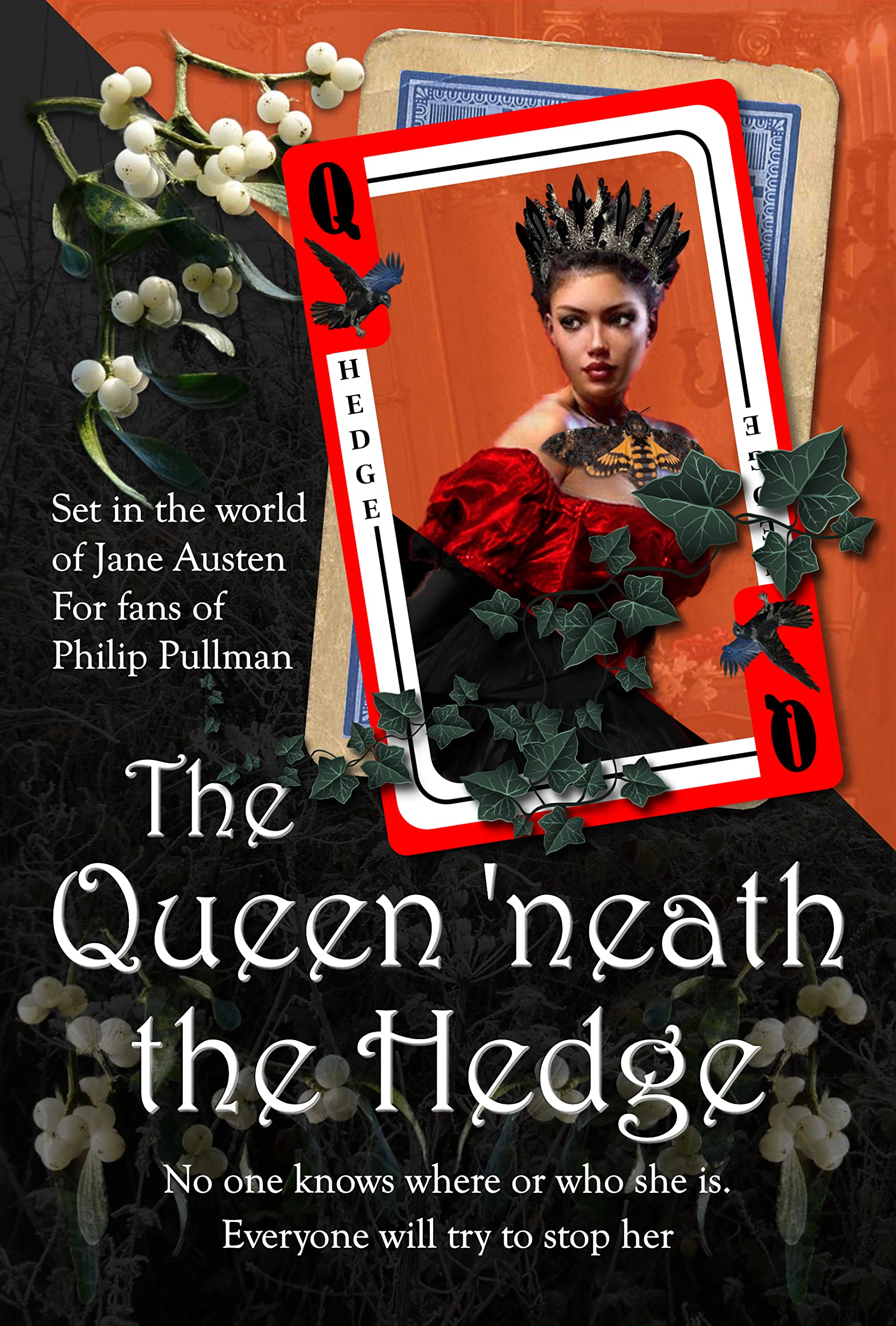 The Queen 'neath the Hedge: The Umbra Series Book 1 by J. L. Dawn ...
