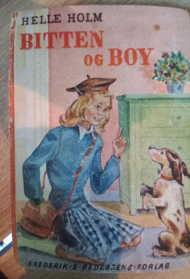Bitten og Boy by Helle Holm | Goodreads