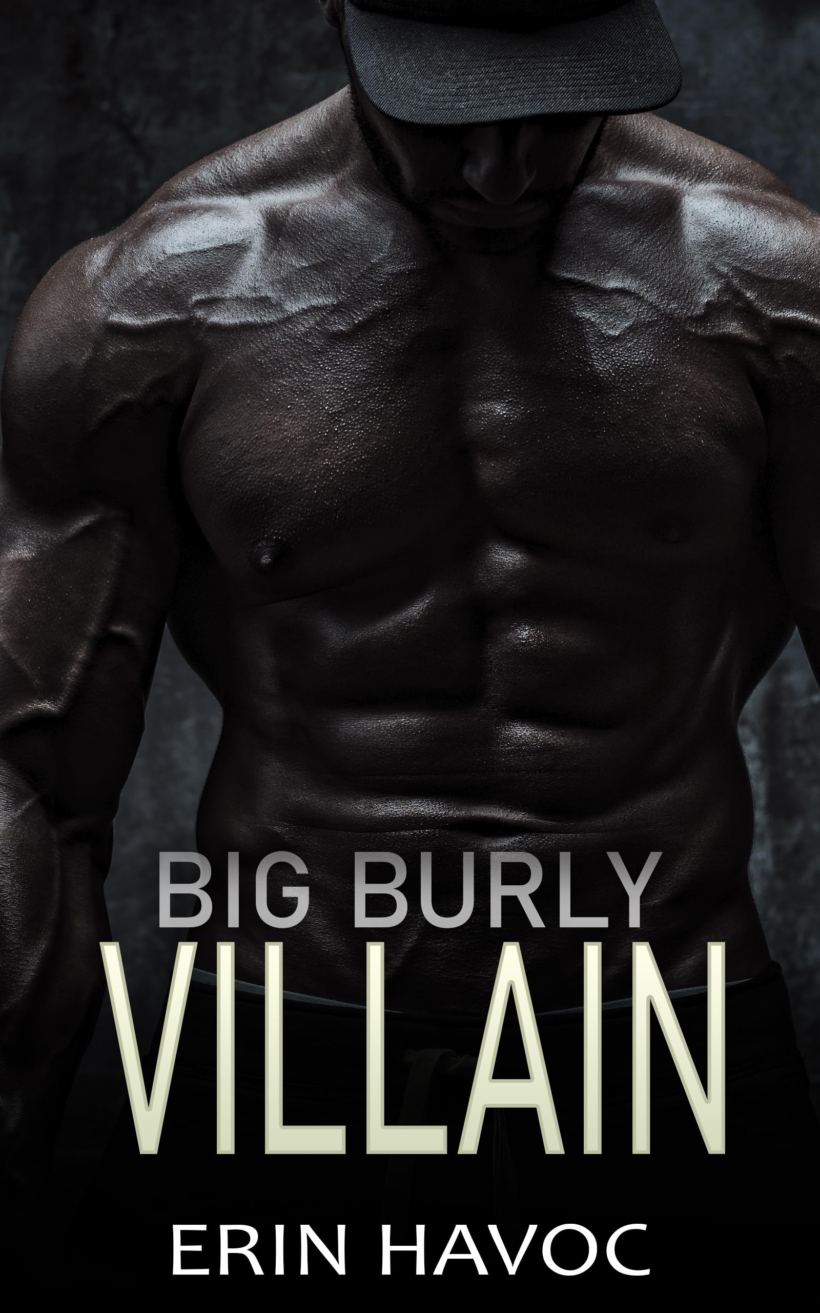 Big Burly Villain (Forbidden Curves, #22) by Erin Havoc | Goodreads