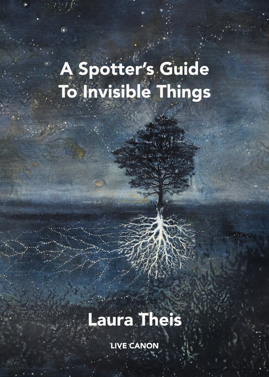 A Spotter's Guide To Invisible Things by Laura Theis | Goodreads