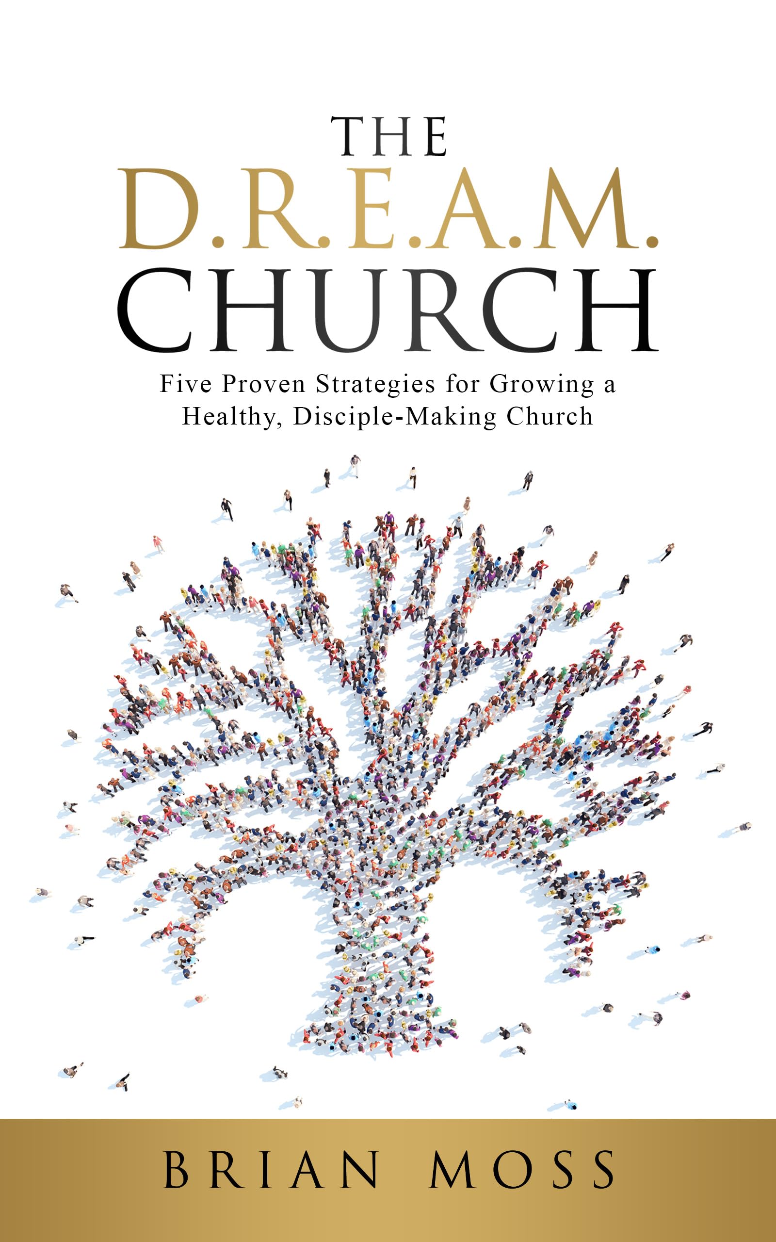 The D.R.E.A.M. Church: Five Proven Strategies for Growing a Healthy ...