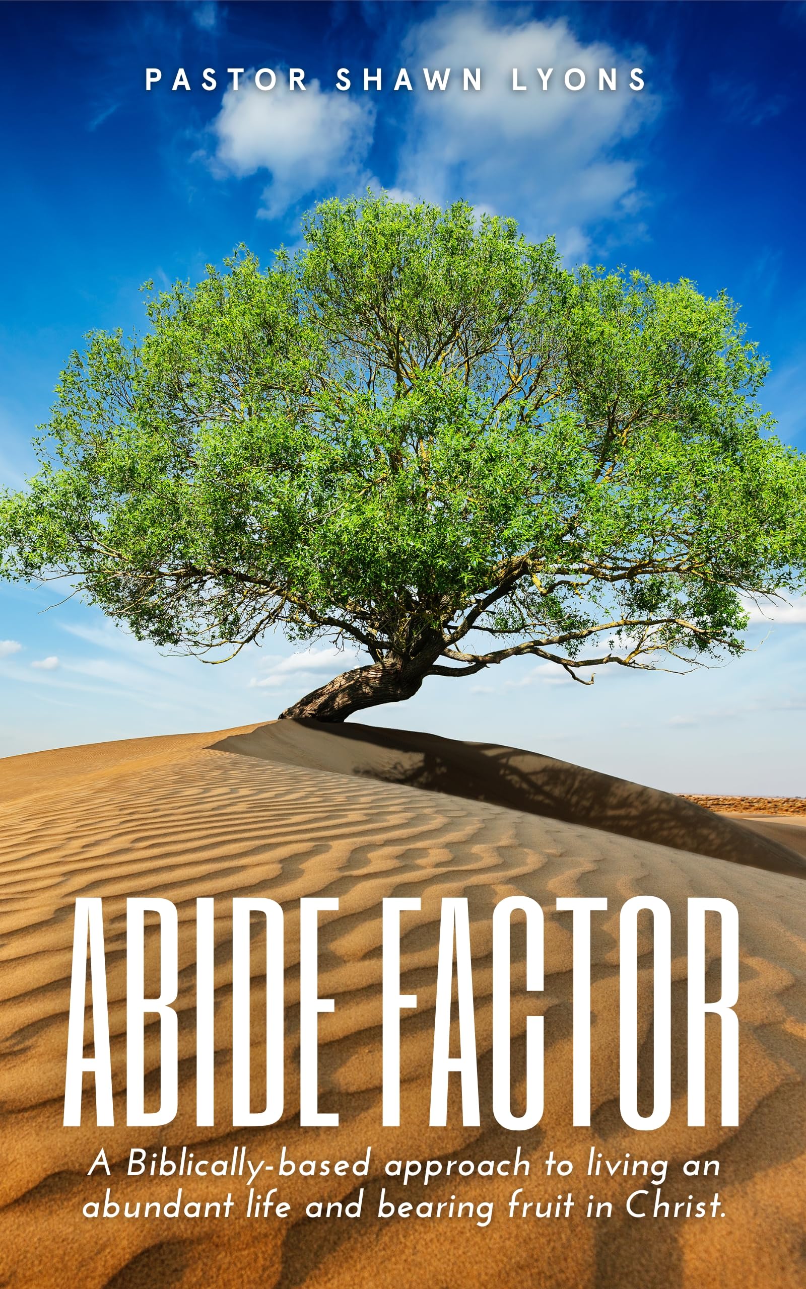 The Abide Factor: A Biblically-based approach to living an abundant ...