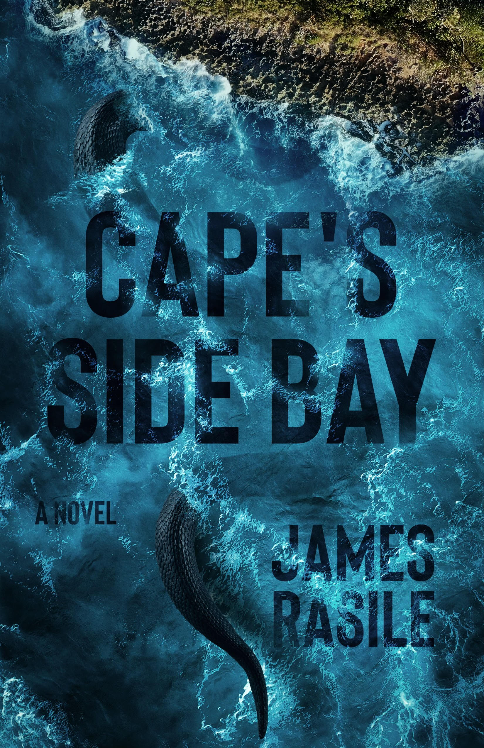 Cape's Side Bay by James Rasile | Goodreads