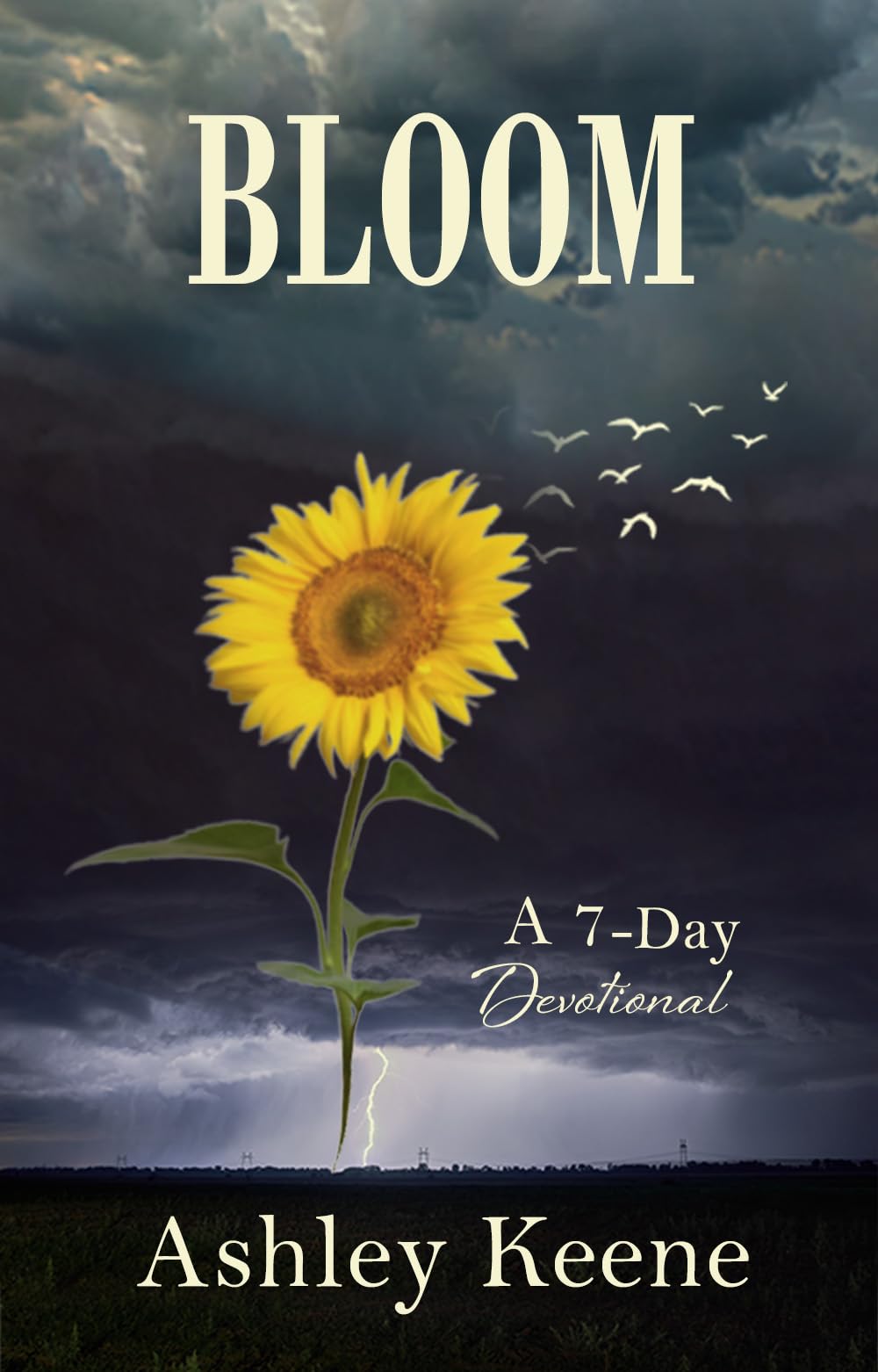 Bloom Devotional: Blooming is for every season. It is beyond sunshine ...