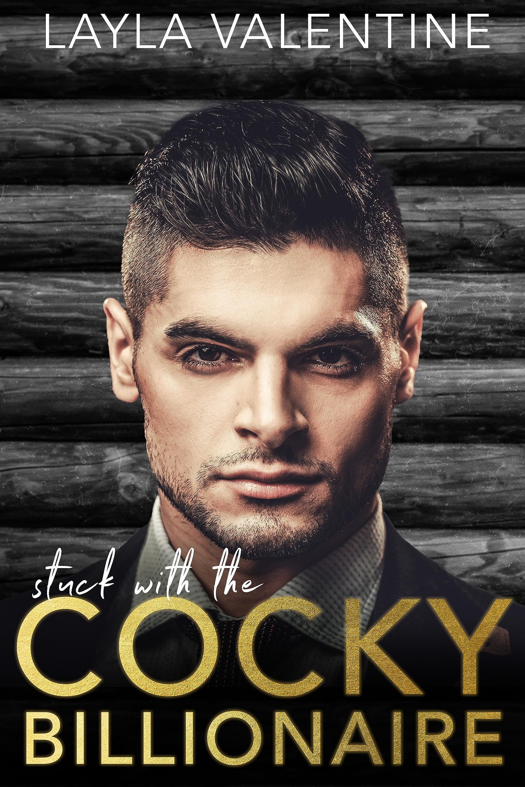 Stuck With The Cocky Billionaire by Layla Valentine | Goodreads