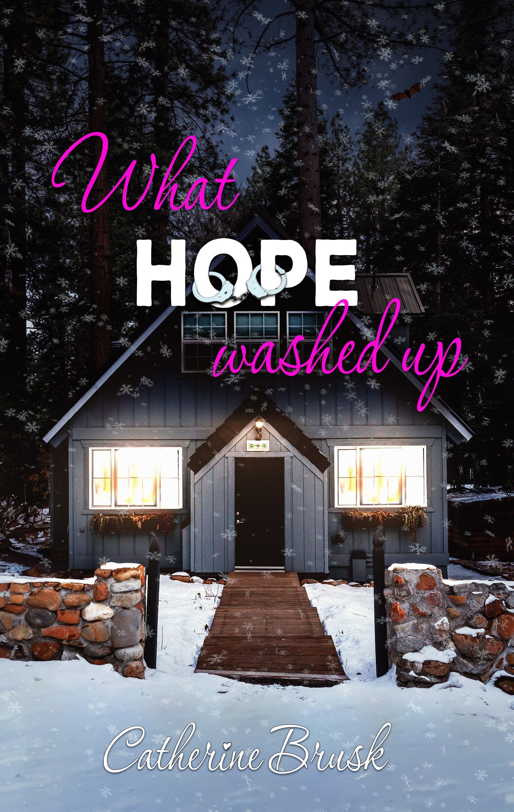 What Hope Washed Up (Finding Faith Book 4) by Catherine Brusk | Goodreads