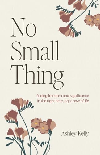 No Small Thing: Finding Freedom and Significance in the Right Here ...