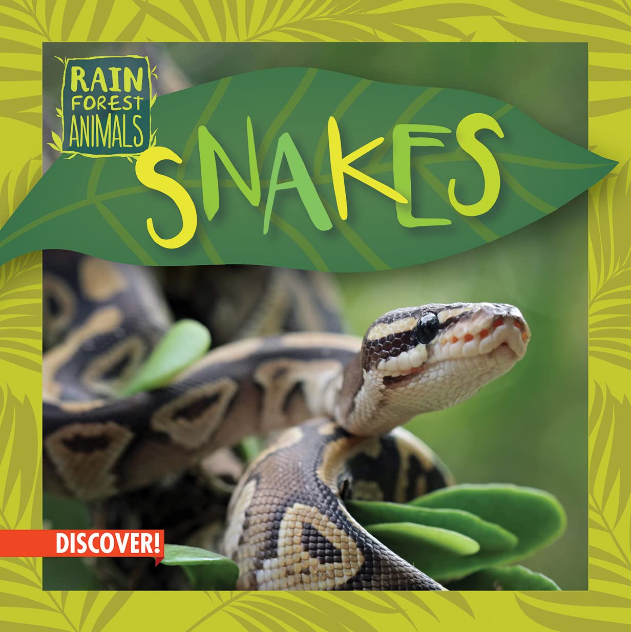 Snakes (Rain Forest Animals) by Leona Fowler | Goodreads