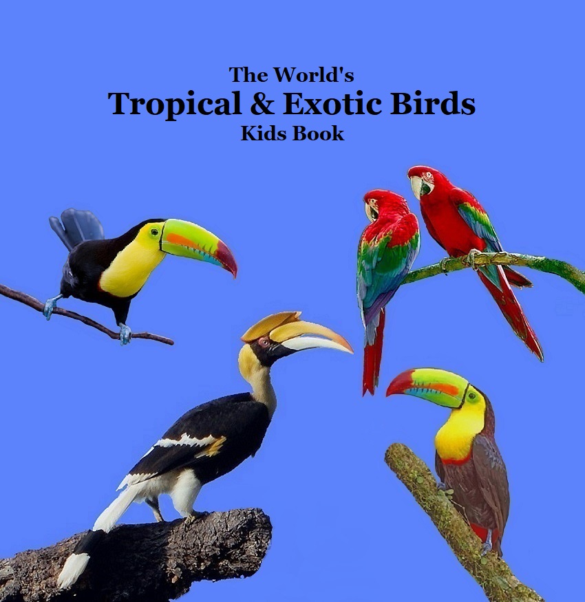 Tropical and Exotic Birds of the World Kids Book by Billy Grinslott ...