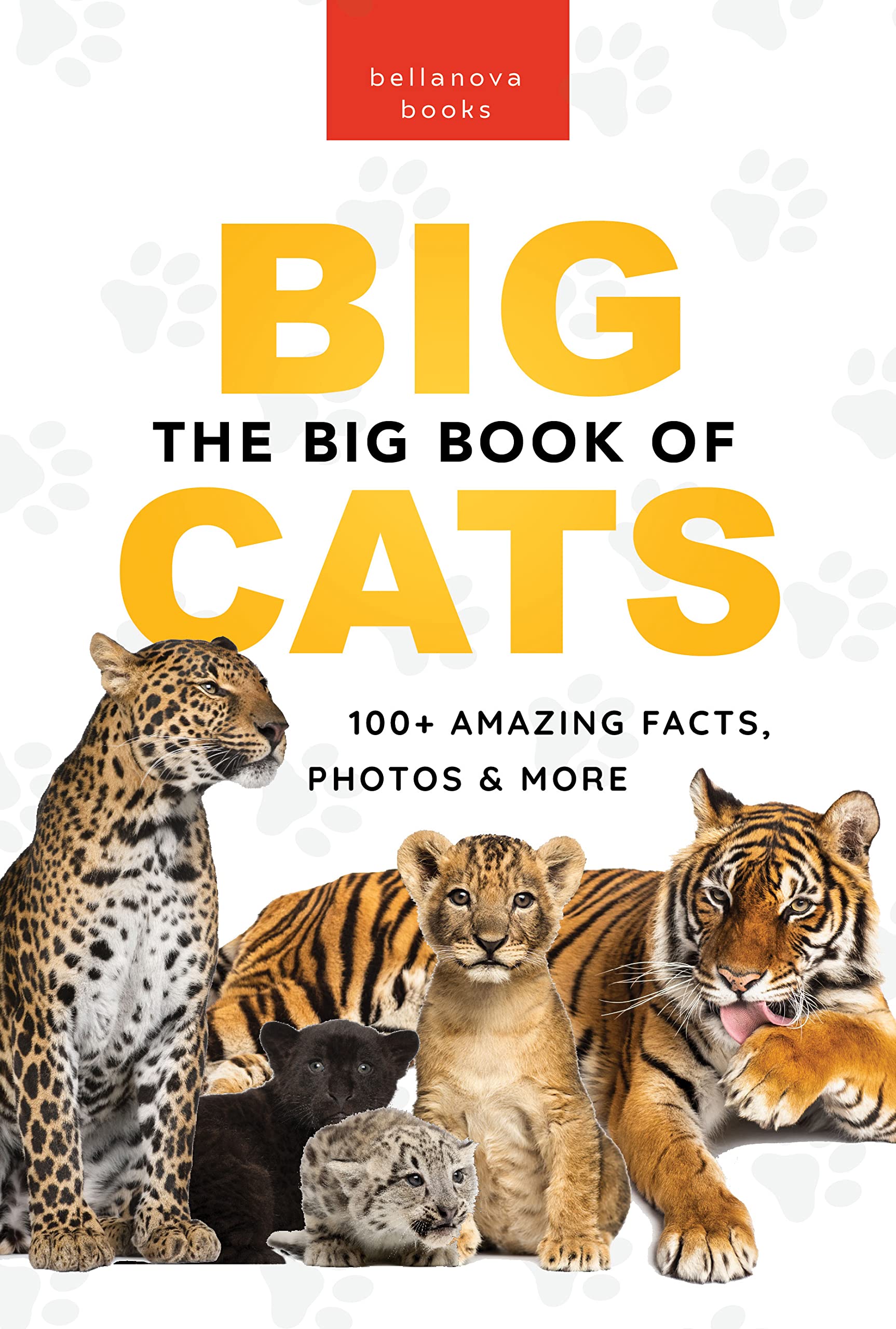 The Big Book of Big Cats: 100+ Amazing Facts About Lions, Tigers ...