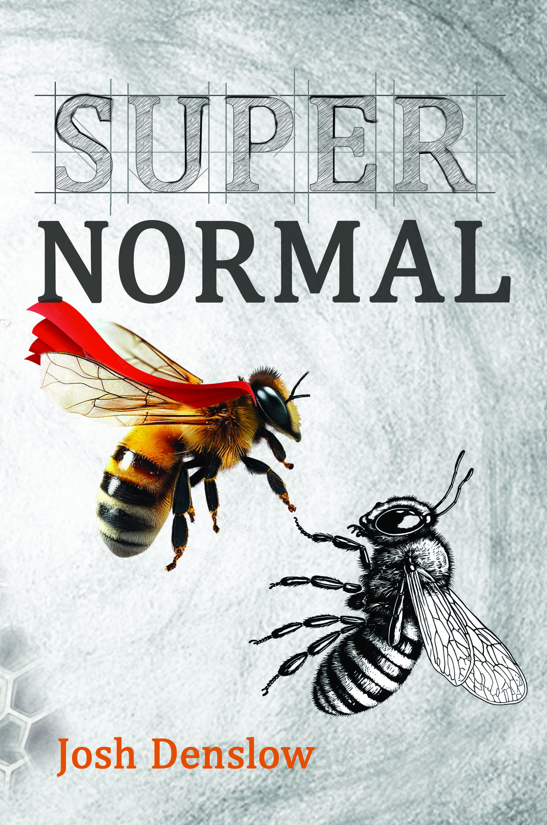 Super Normal by Josh Denslow | Goodreads