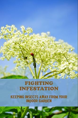 Fighting Infestation: Keeping Insects Away From Your Indoor Garden by ...