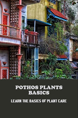 Pothos Plants Basics: Learn The Basics Of Plant Care by Walton Wallner ...
