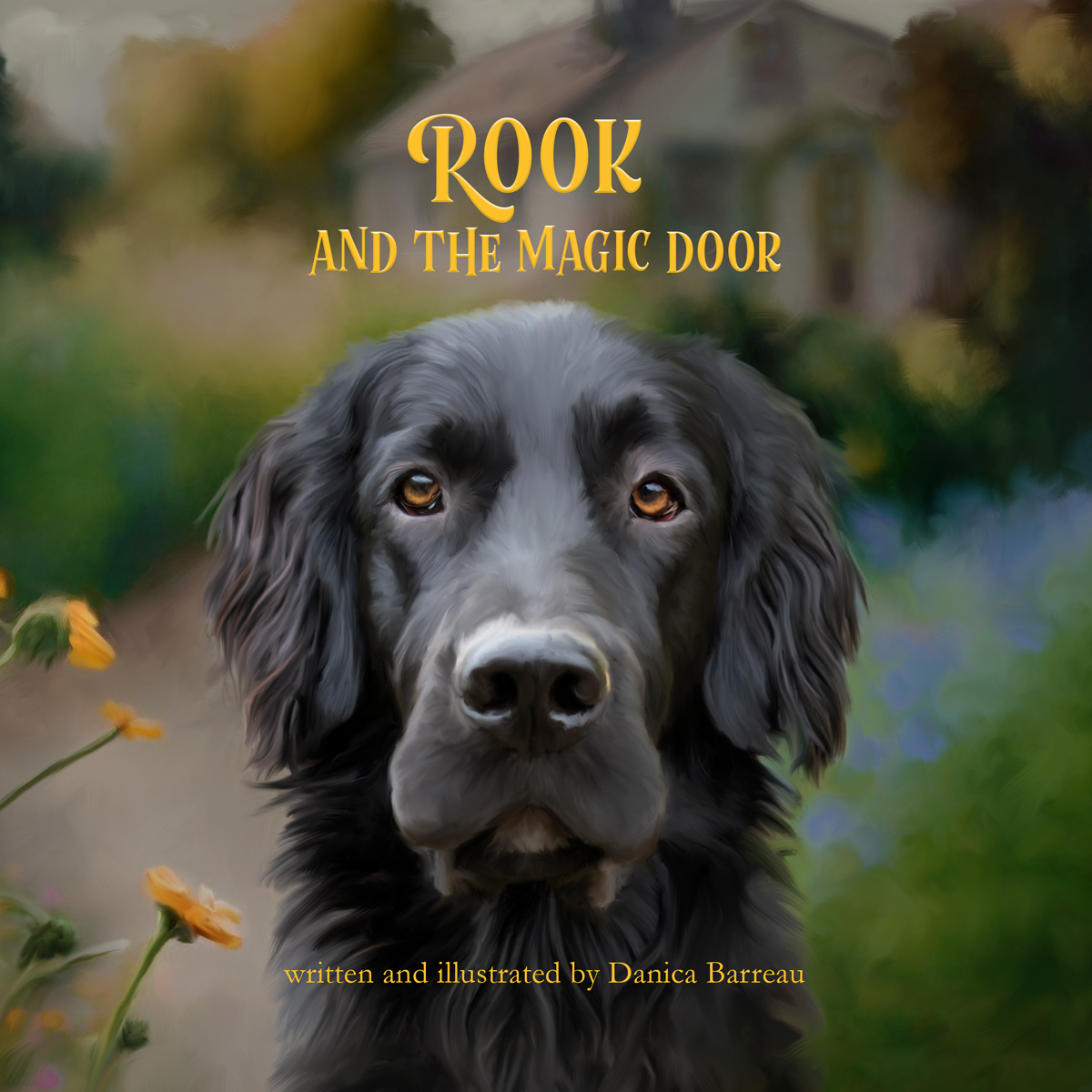 Rook and the Magic Door: Written and Illustrated by Danica Barreau by ...