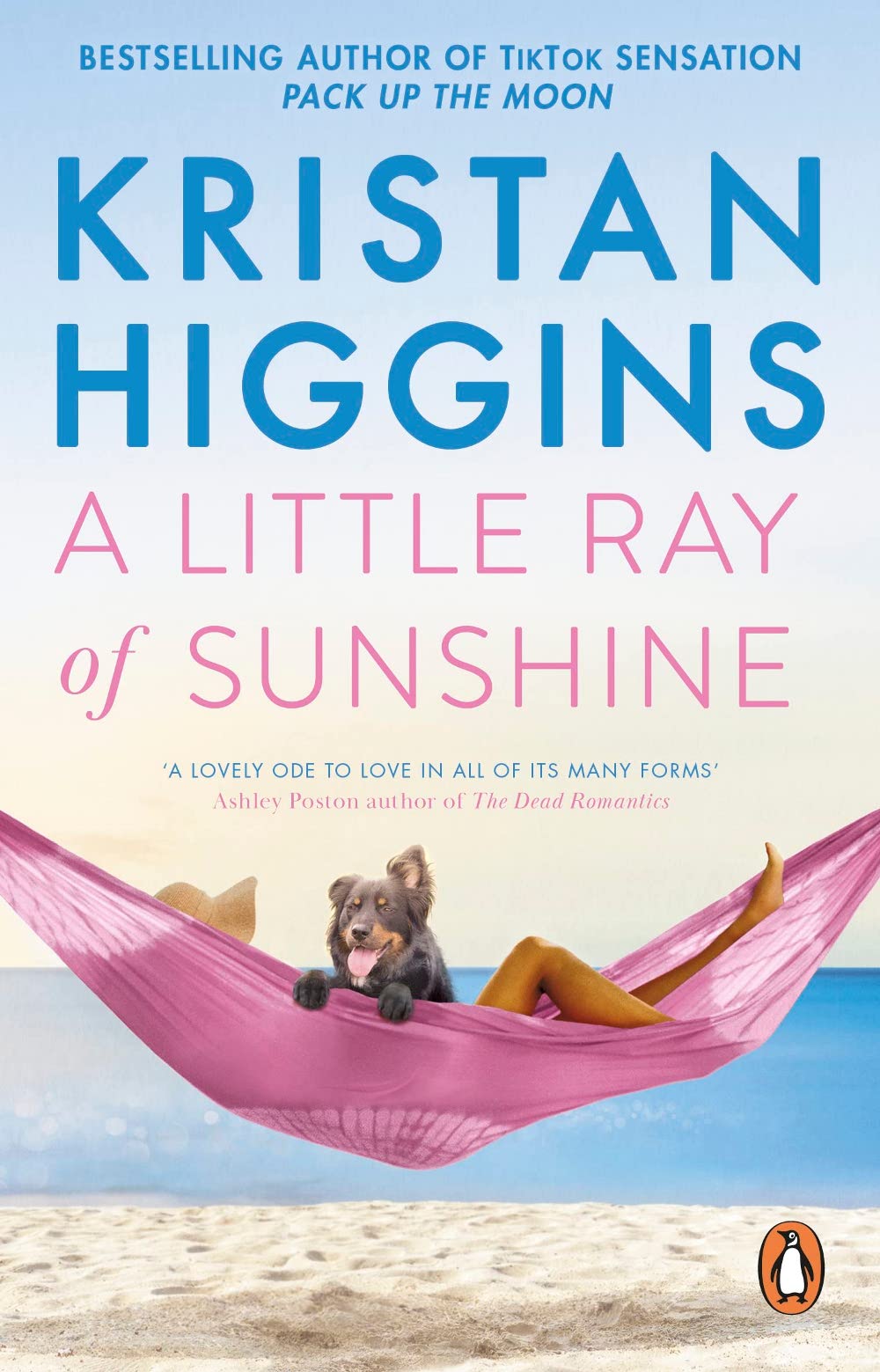 A Little Ray of Sunshine: A beautiful and romantic novel guaranteed to ...
