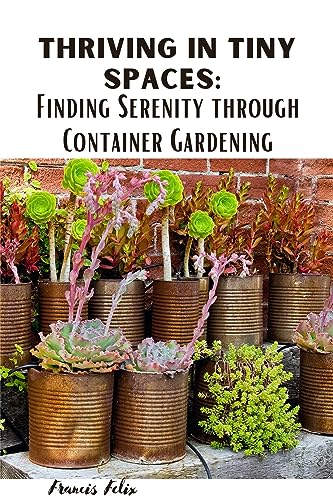 Thriving in Tiny Spaces: Finding Serenity through Container Gardening ...