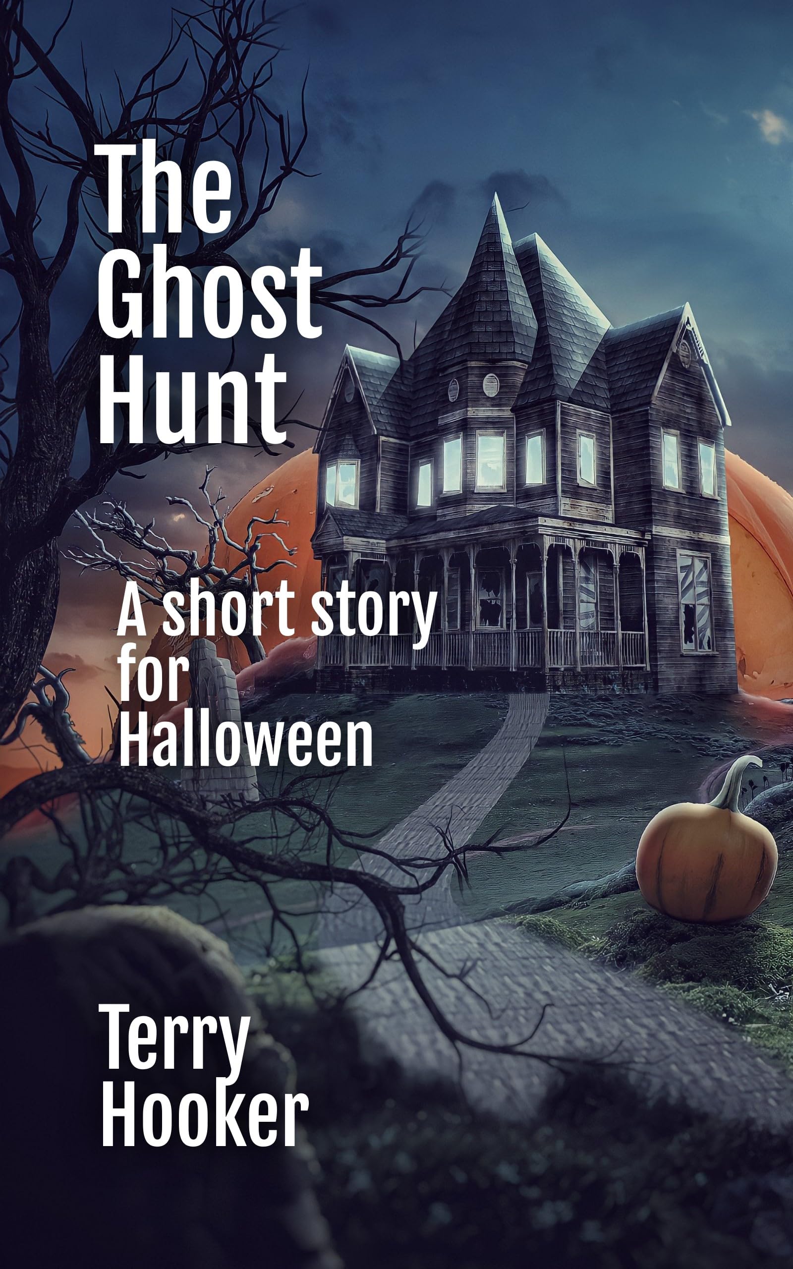 The Ghost Hunt by Terry Hooker | Goodreads