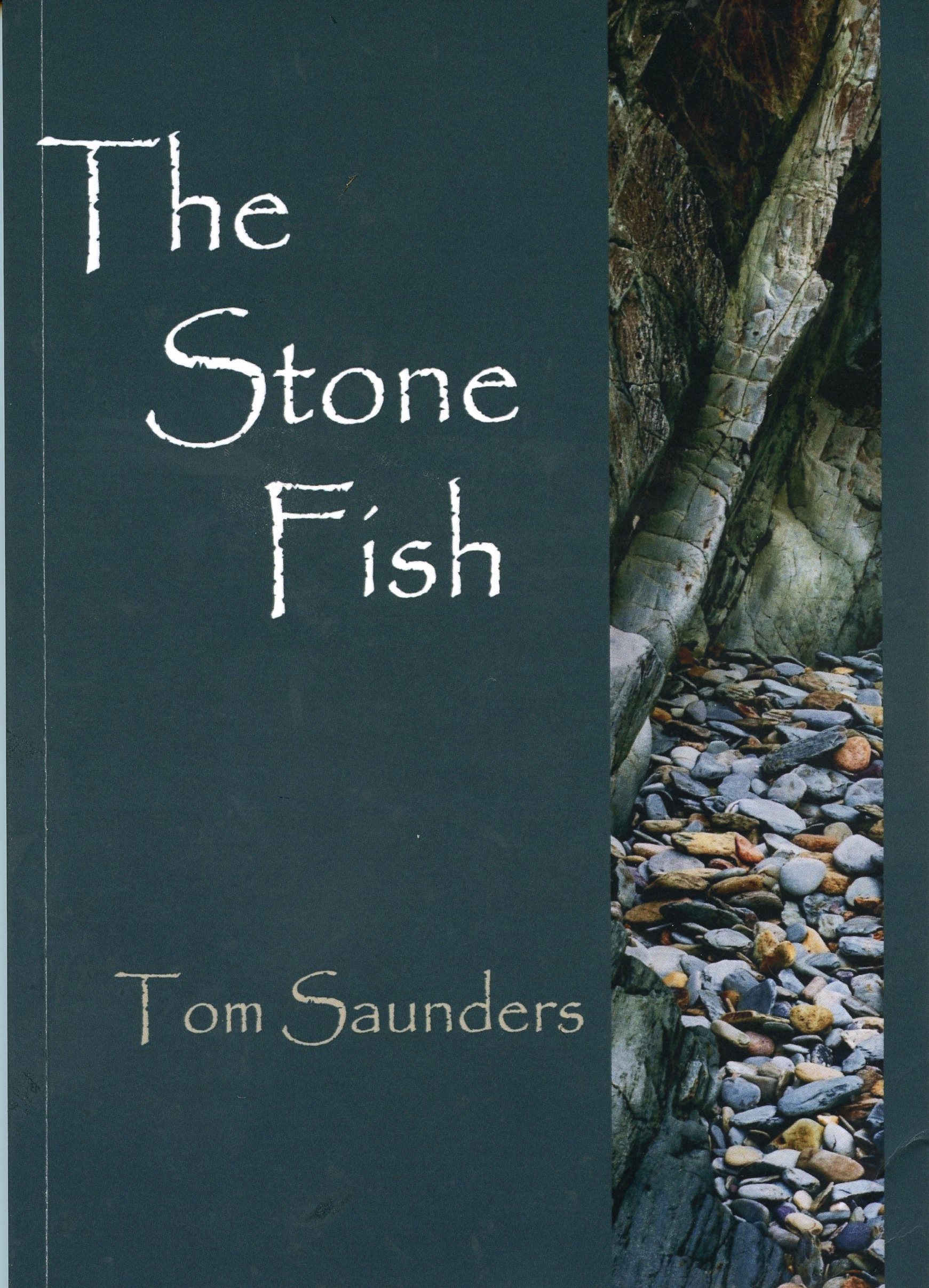 The Stone Fish by Tom Saunders | Goodreads
