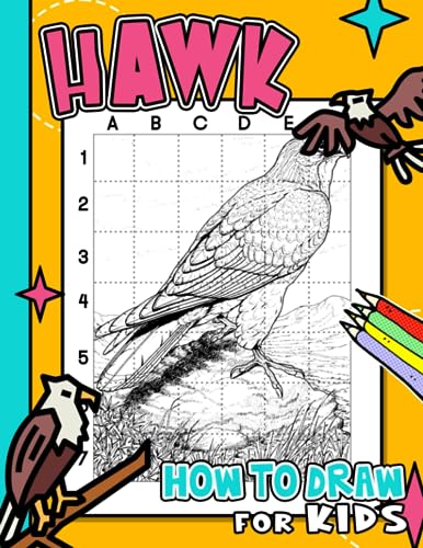 Simple Hawk Drawing