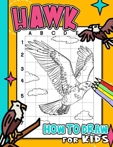 How To Draw A Hawk Step By Step For Kids
