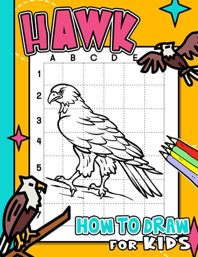 How To Draw A Hawk Step By Step For Kids