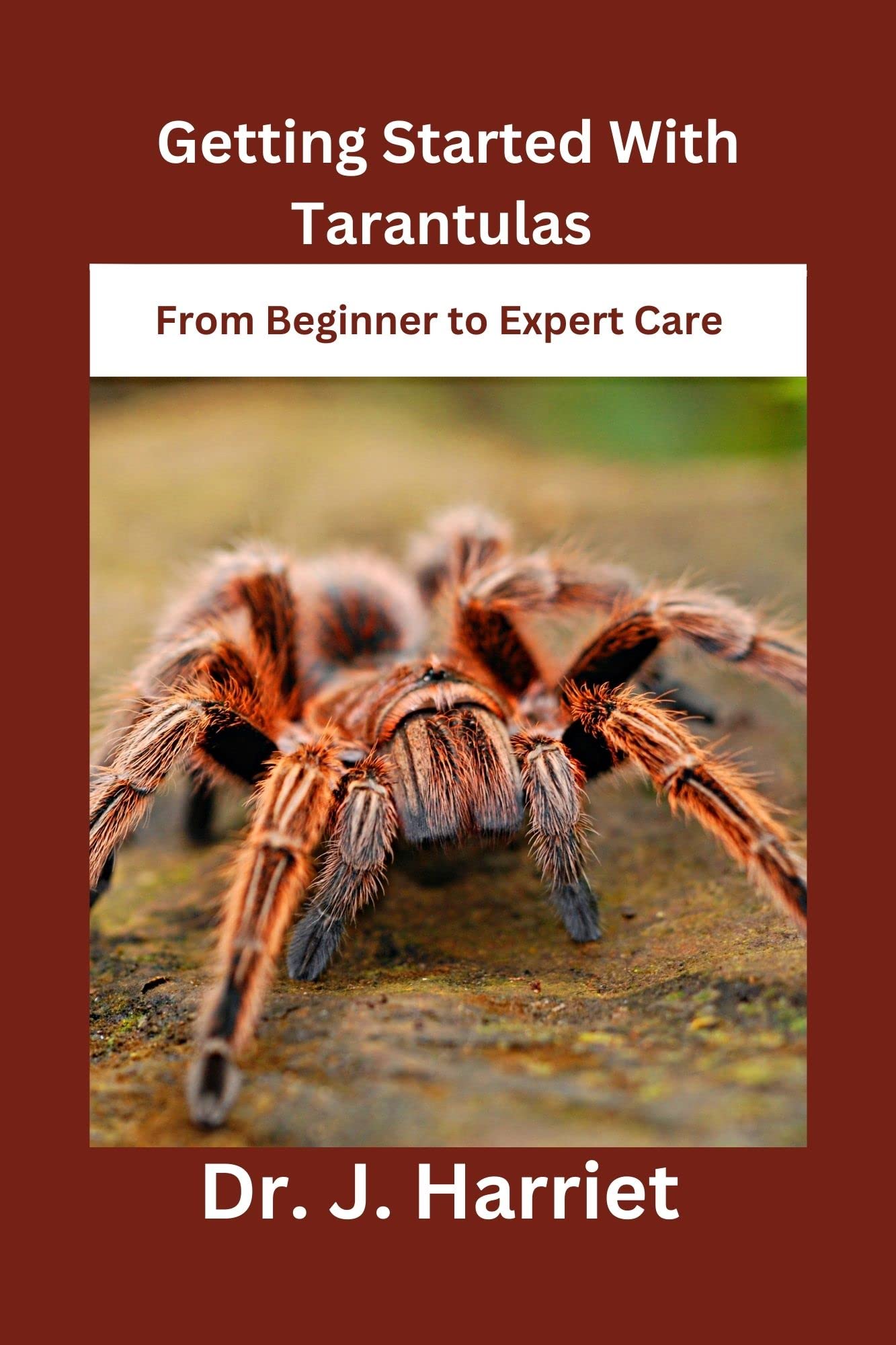 Getting Started With Tarantulas : From Beginner to Expert Care by Dr. J ...