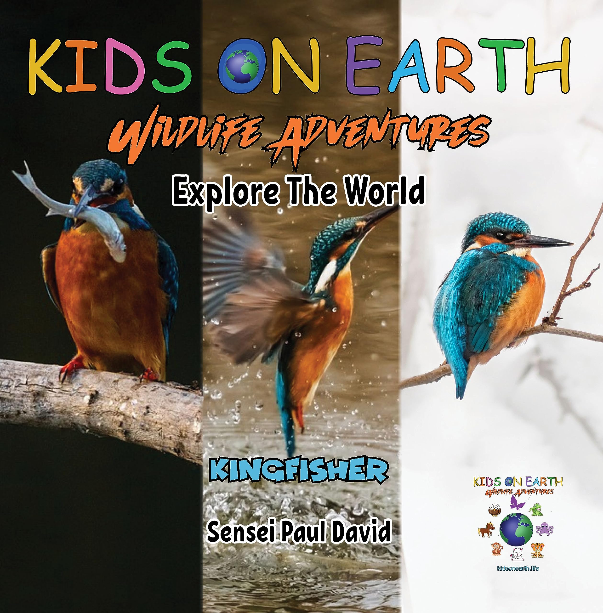 KIDS ON EARTH Wildlife Adventures – Explore The World Kingfisher ...