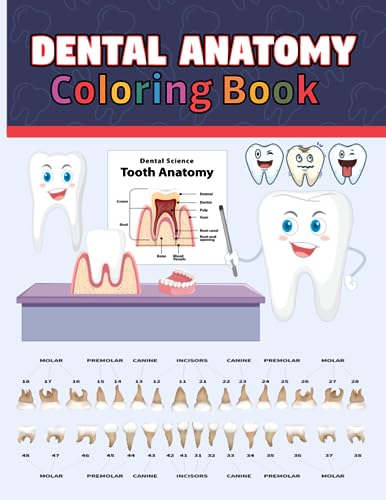 Dental Anatomy Coloring Book: Learn to Fun and easy of Dental Anatomy ...