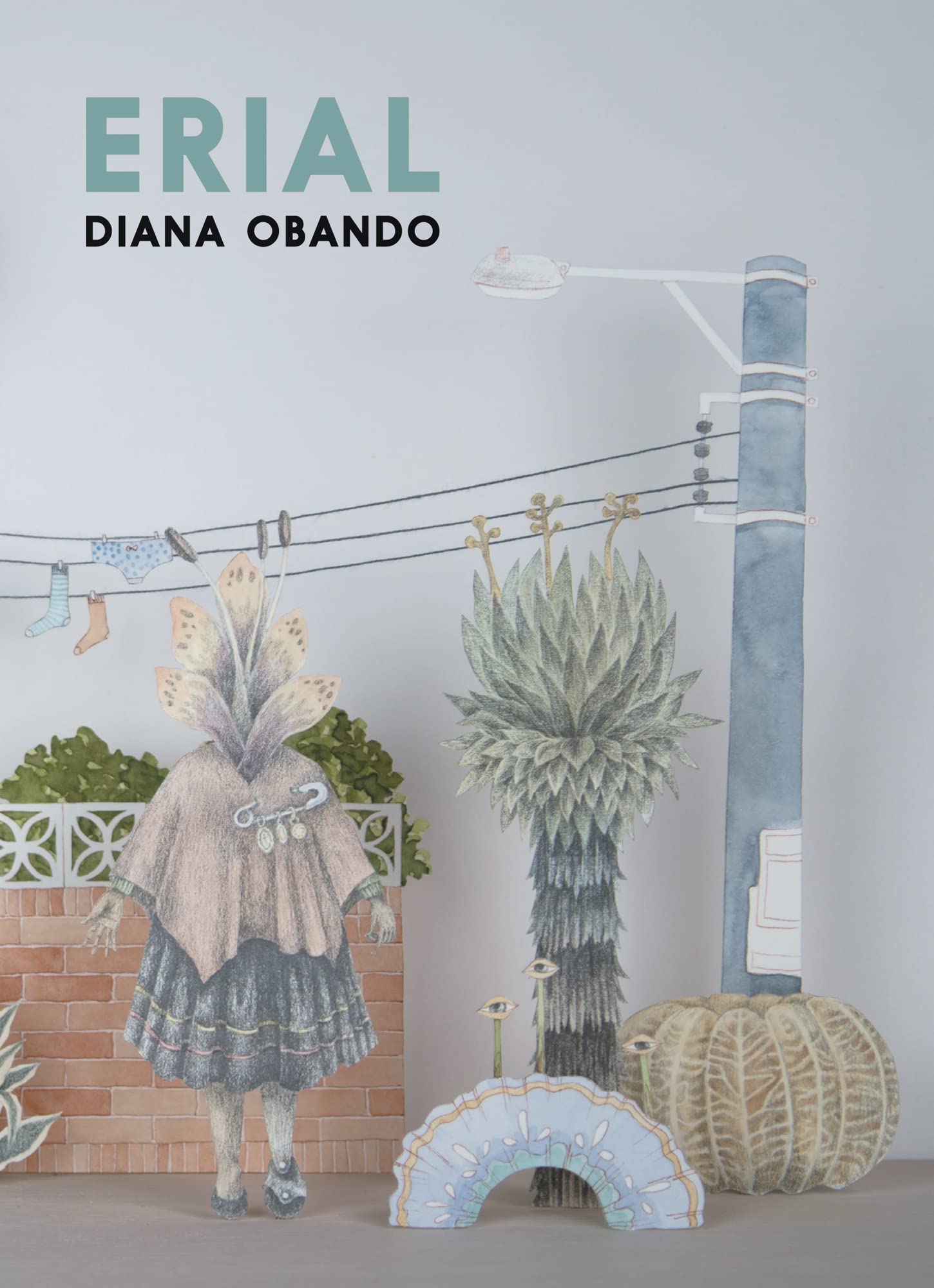 Erial (Spanish Edition) by Diana Obando | Goodreads